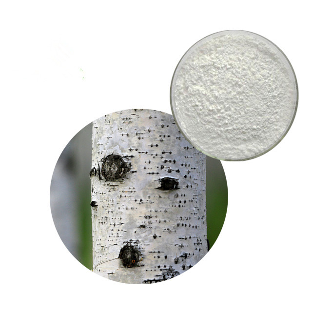 Custom Better Stevia Powder Manufacturer, Natural Extracts